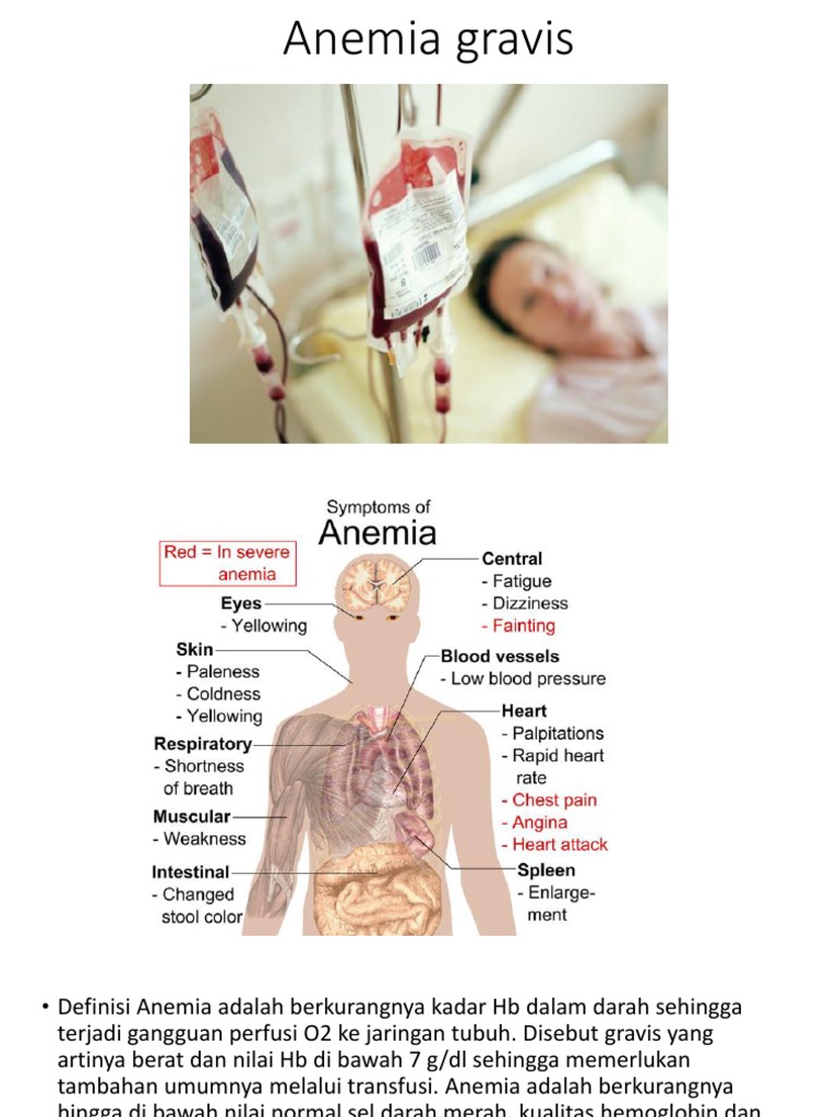Anemia Gravis Elsya Natalia | PDF