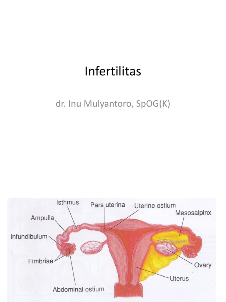 Infertilitas Pada Wanita Dr. Inu | PDF