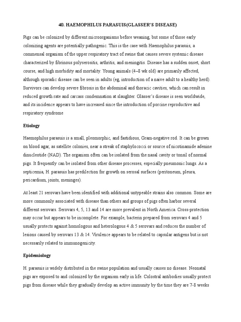 Haemophilus Parasuis (Glasser'S Disease) | PDF | Pneumonia | Infection
