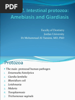ASH 2024 Guidelines for Iron Deficiency Anemia | PDF | Anemia ...