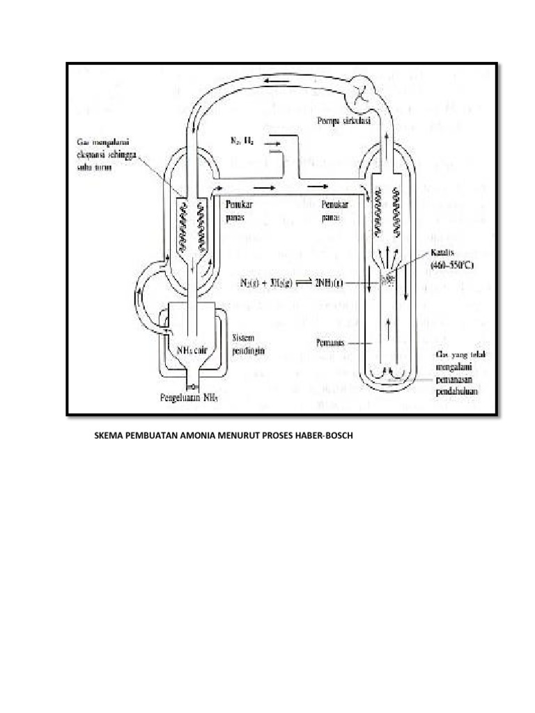 Pembuatan Ammonia Menurut Proses Haber | PDF
