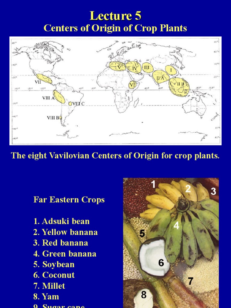 The Eight Vavilovian Centers of Origin For Crop Plants | PDF | Bean ...