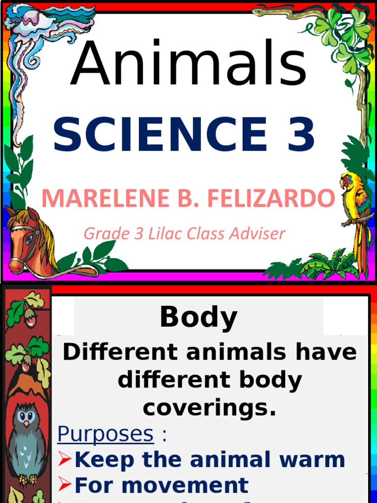 Body Covering of Animals | PDF | Organisms | Nature