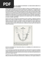 Oclusion Fosa Cuspide | PDF | Anatomia dental | Diente