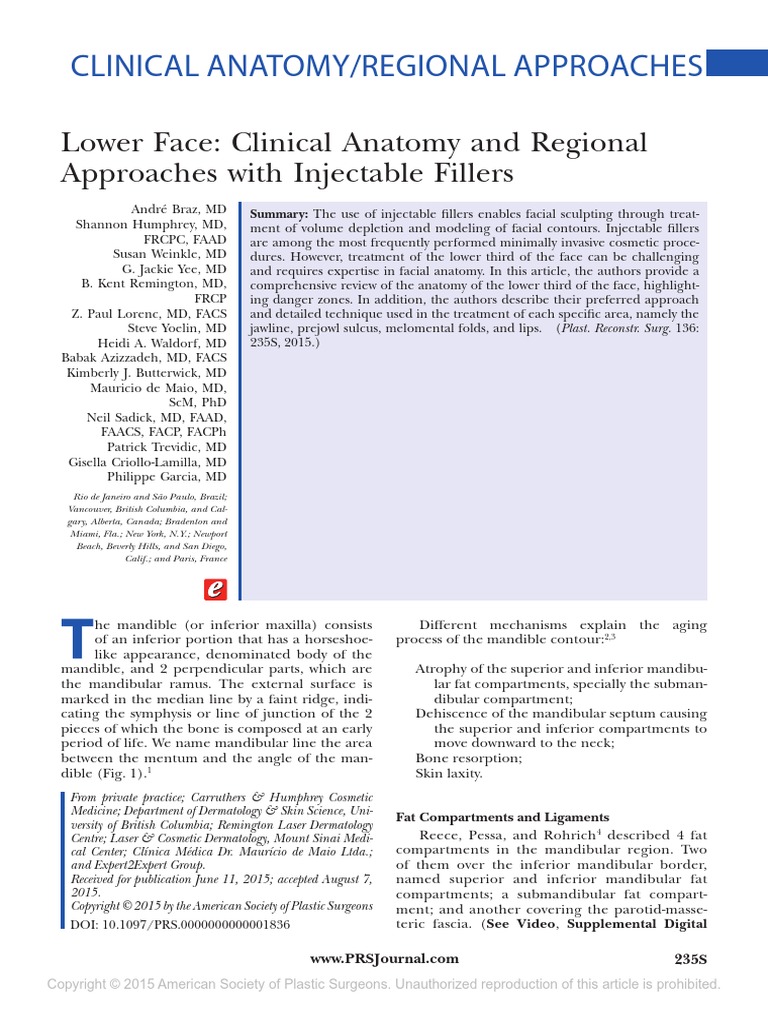 Lower Face Clinical Anatomy | PDF | Primate Anatomy | Human Anatomy