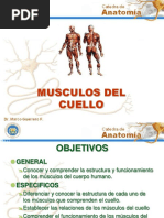 Anatomía de los Músculos Mediales del Muslo | PDF | Extremidades ...