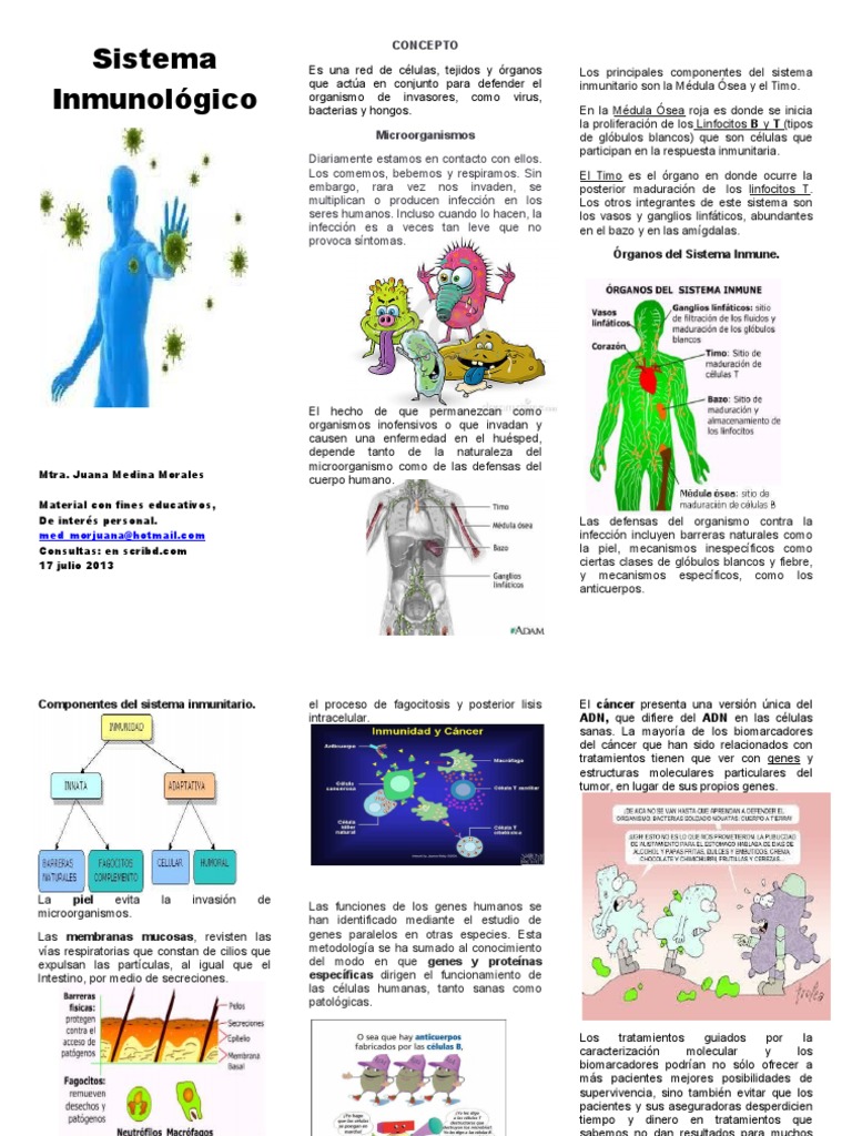 Sistema Inmunológico tríptico | Sistema inmune | Infección