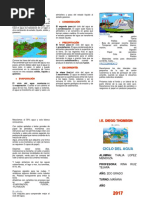 Triptico Importancia Del Agua | PDF