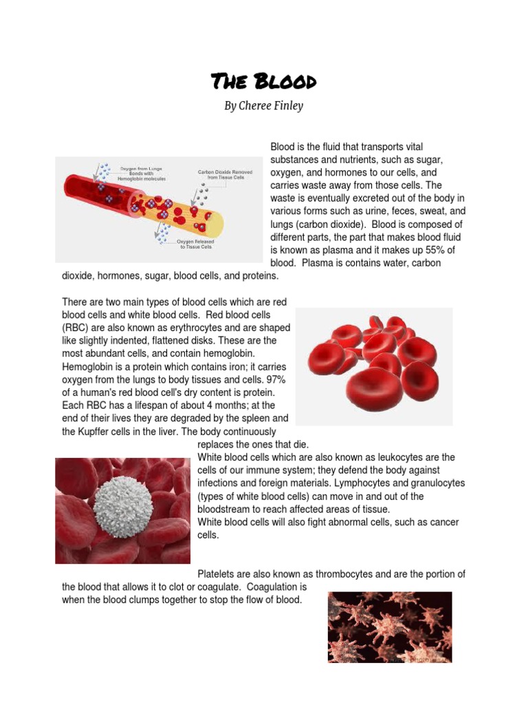 The Blood | PDF | Blood | Red Blood Cell