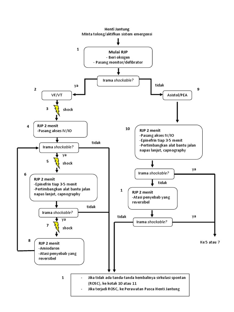 Algoritme Henti Jantung PERKI 2011 PDF | PDF