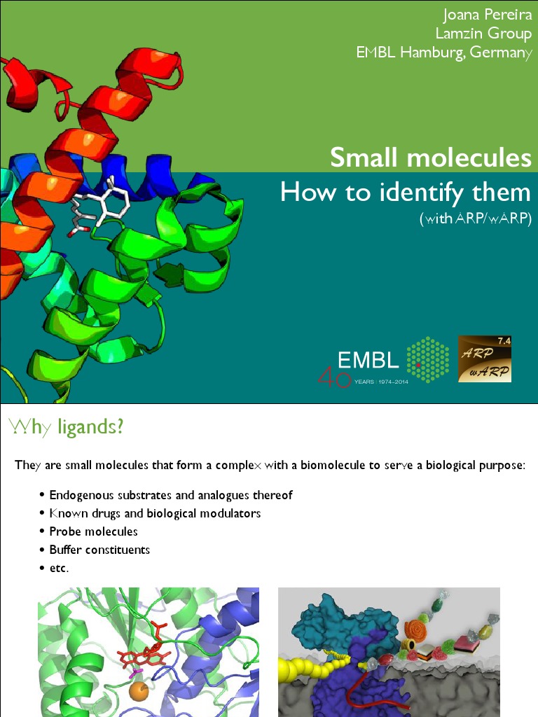 1 - Small Molecule Id | PDF | Ligand (Biochemistry) | Biochemistry