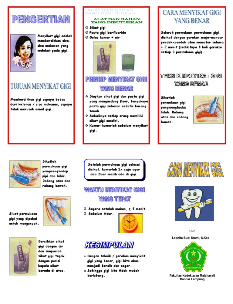 Leaflet Cara Menyikat Gigi | PDF