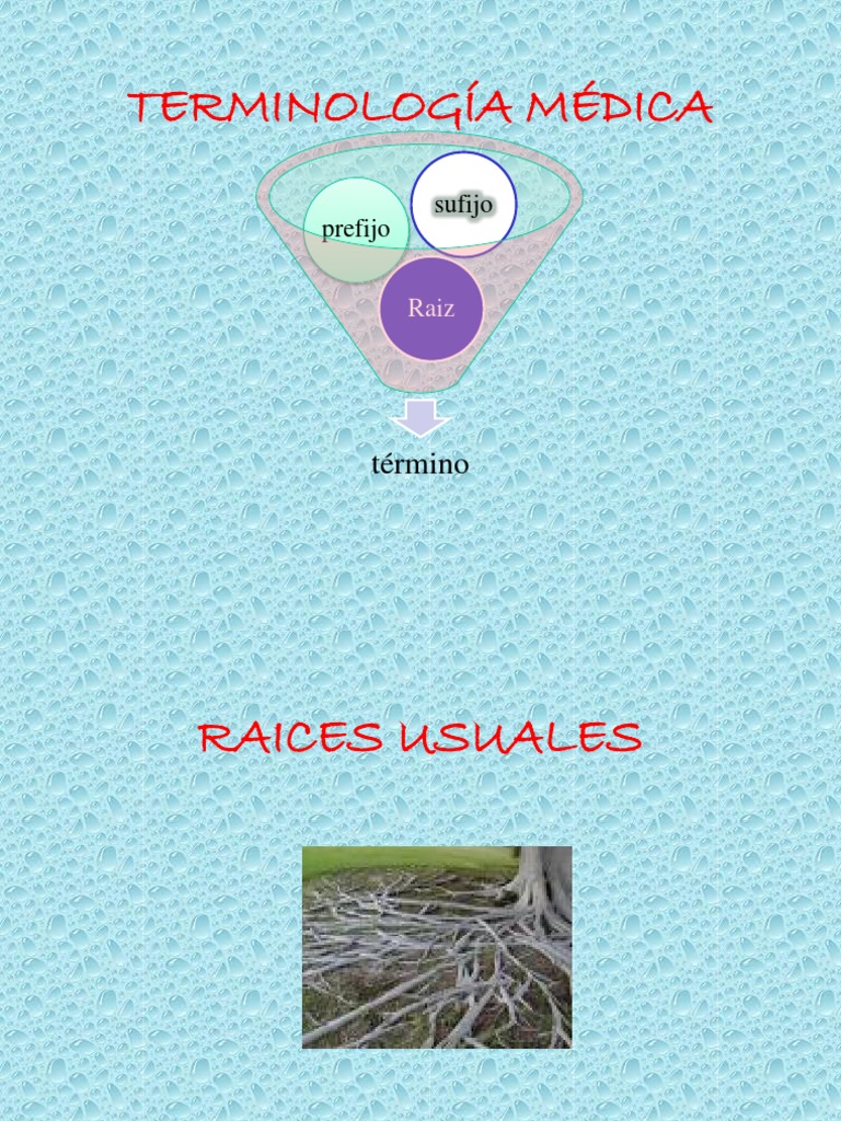 Guía de Terminología Médica Esencial | PDF | Términos anatómicos de ...
