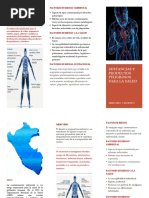 Panopea Generosa | PDF | Bivalvia
