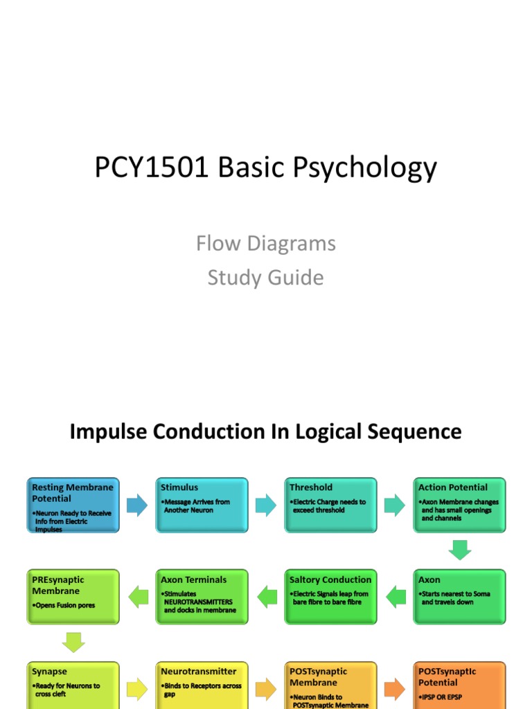 PCY1501 Basic Psychology: Flow Diagrams Study Guide | PDF