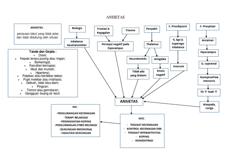 Ansietas Pathway