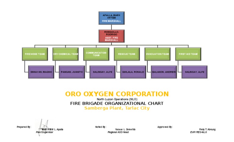 Fire Brigade Organizational Chart | PDF