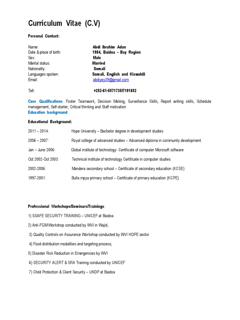 Abdi Kish CV-Updated PDF | PDF | Security | Employment