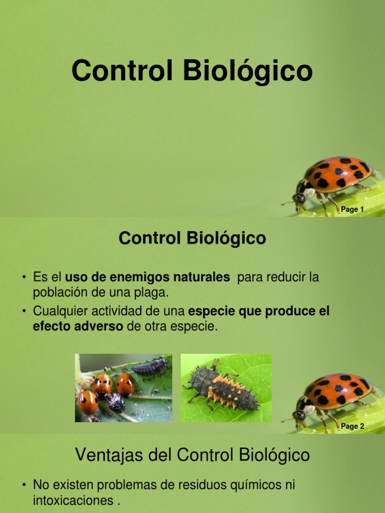 Control Biológico | PDF | Insectos beneficiosos | Pesticida
