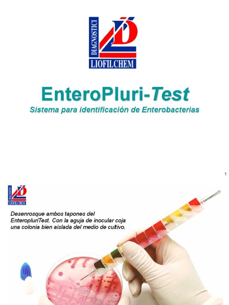 Identificación de Enterobacterias con EnteroPluri-Test | PDF ...