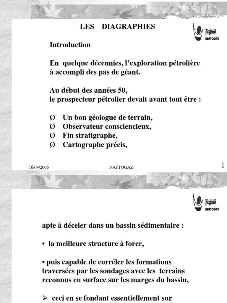 Diagraphies Différées | PDF | Porosité | Forage