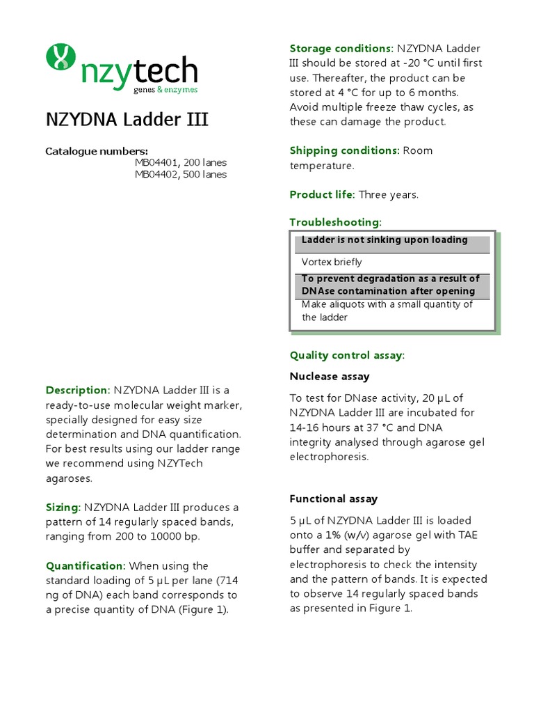 Mb044 - Nzydna Ladder III | PDF | Agarose Gel Electrophoresis | Gel ...