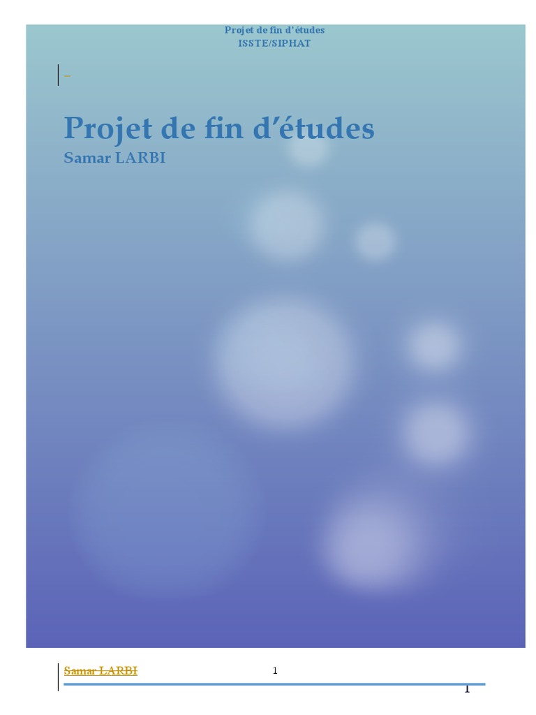 PFE Final | PDF | Métaux | Médicament