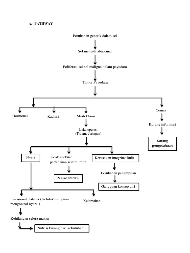 Pathway Tu Mamae | PDF