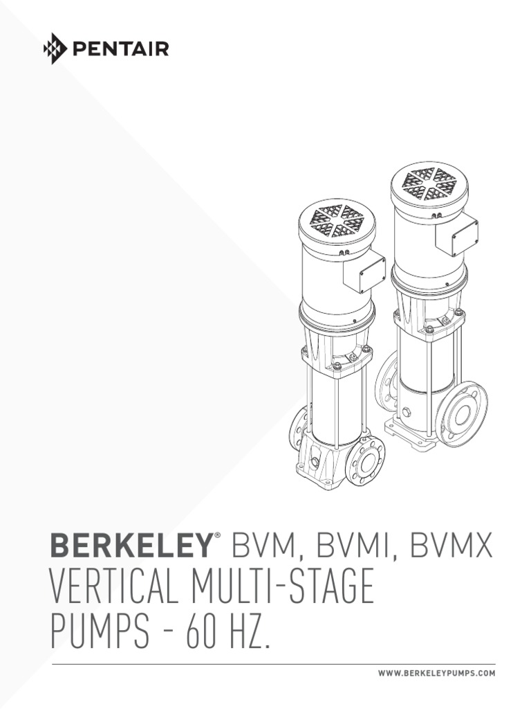 Berkeley: Vertical Multi-Stage Pumps - 60 HZ | PDF | Pipe (Fluid Conveyance) | Gas Technologies