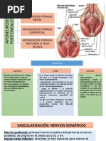 Tacto Protopático y Epicrítico KNP | PDF | Piel | Neurobiología
