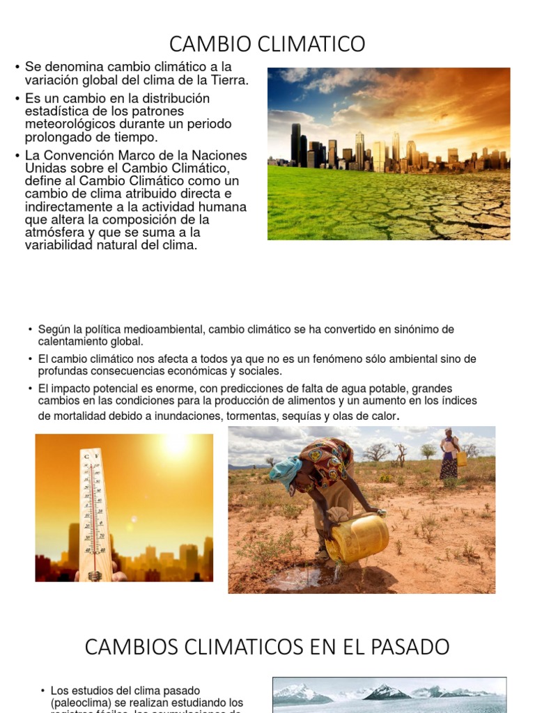 Ensayo Cambio Climtico