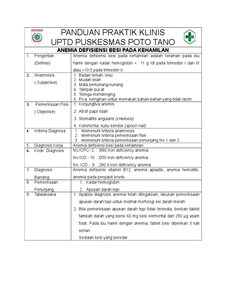(Revised) PPK Anemia Defisiensi Pada Kehamilan | PDF