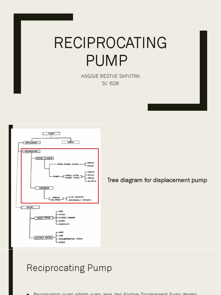 Reciprocating Pump | PDF | Bisnis | Griya & Taman