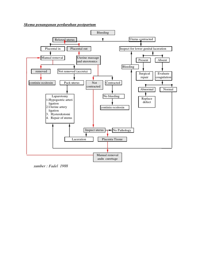 Skema Penanganan Perdarahan Postpartum PDF | PDF