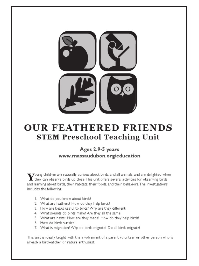 Our Feathered Friends: STEM Preschool Teaching Unit | PDF | Birds | Feather