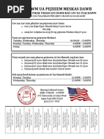 Hmong Cultural Artifacts Presentation | PDF | Clothing | Softlines (Retail)