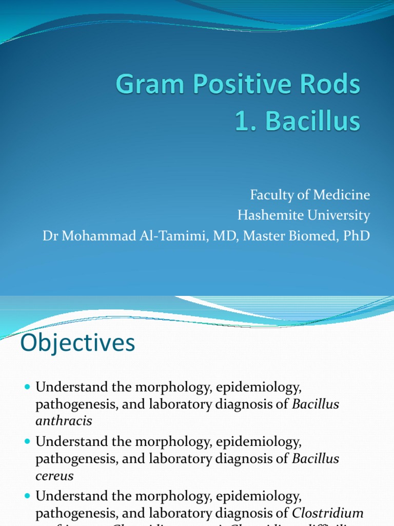 Gram-Positive Bacilli: Diagnosis & Treatment | PDF | Anthrax | Bacillus