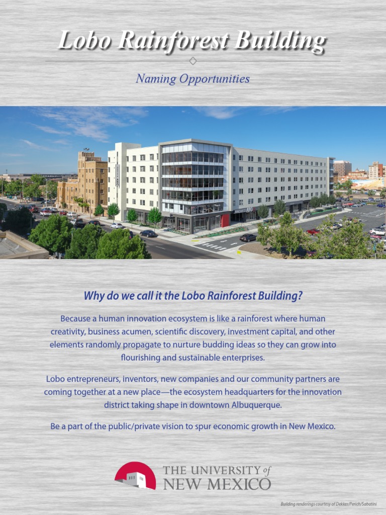 Lobo Rainforest Naming Brochure | PDF | Innovation | Entrepreneurship