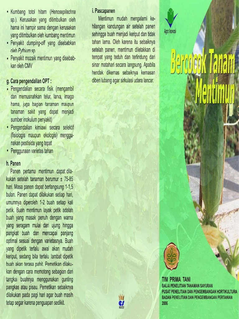Bercocok Tanam Mentimun (Leaflet) | PDF