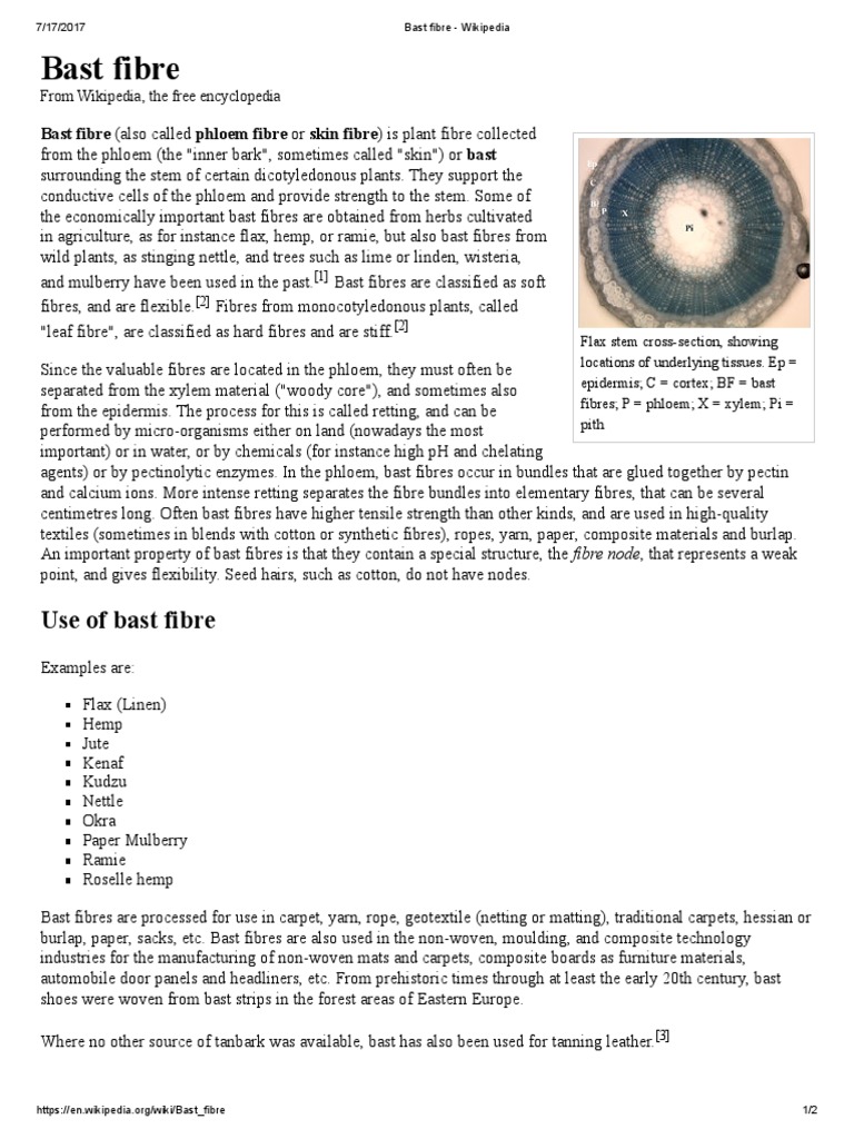 Bast Fibre - Wikipedia | Download Free PDF | Branches Of Botany | Non ...