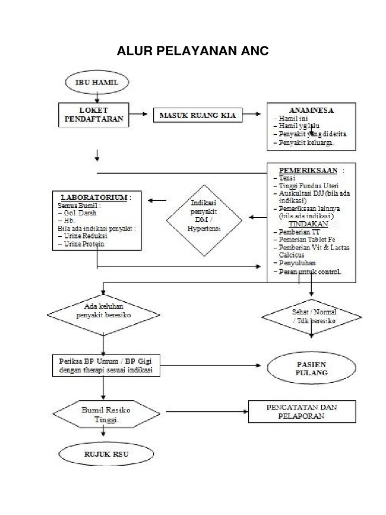 Alur Pelayanan Anc | PDF