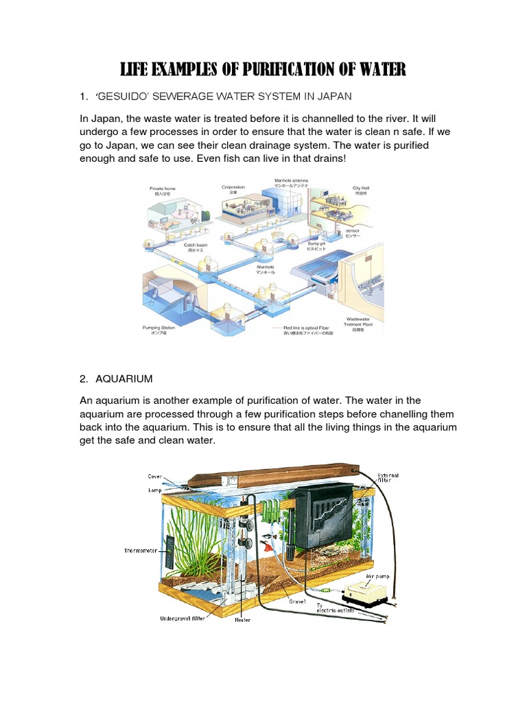 Life Examples of Purification of Water | PDF | Water Purification ...