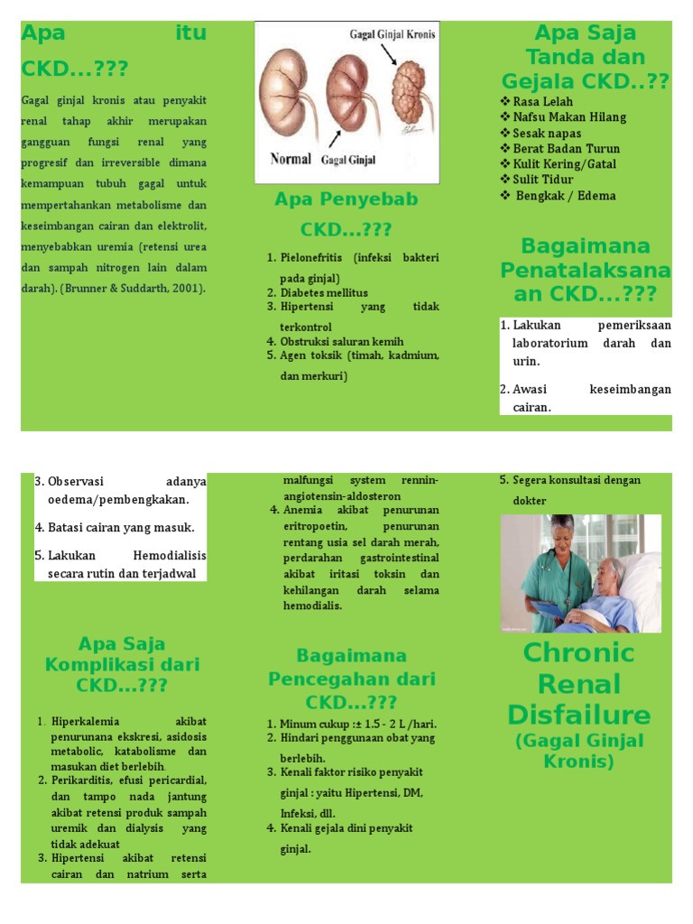 CKD Leaflet | PDF