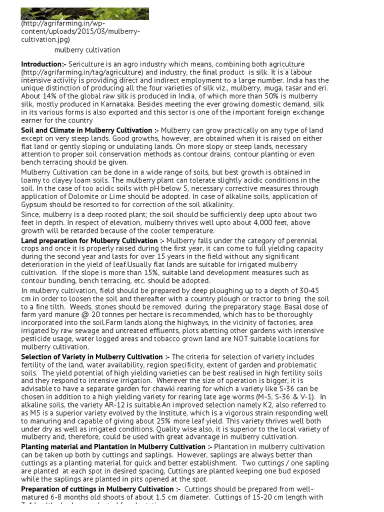 Mulberry Cultivation & Silkworm Rearing Guide - Agrifarming | PDF ...