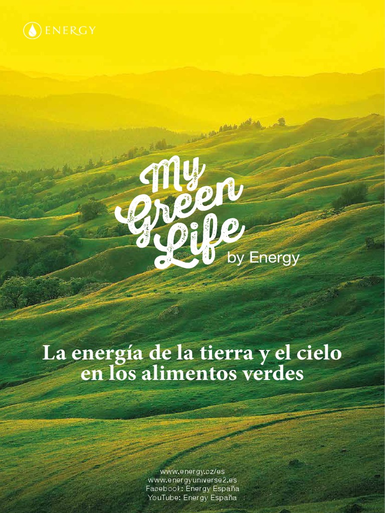 Catálogo My Green Life | PDF | Antioxidante | Té verde
