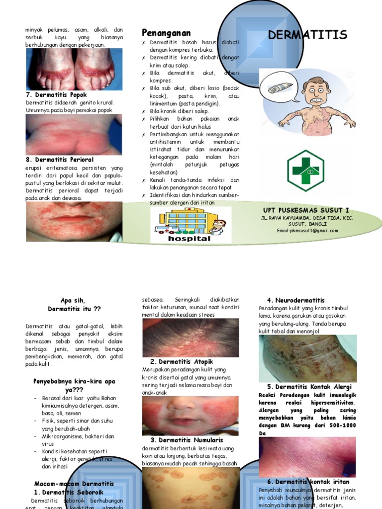 Leaflet-Dermatitis Susut I | PDF