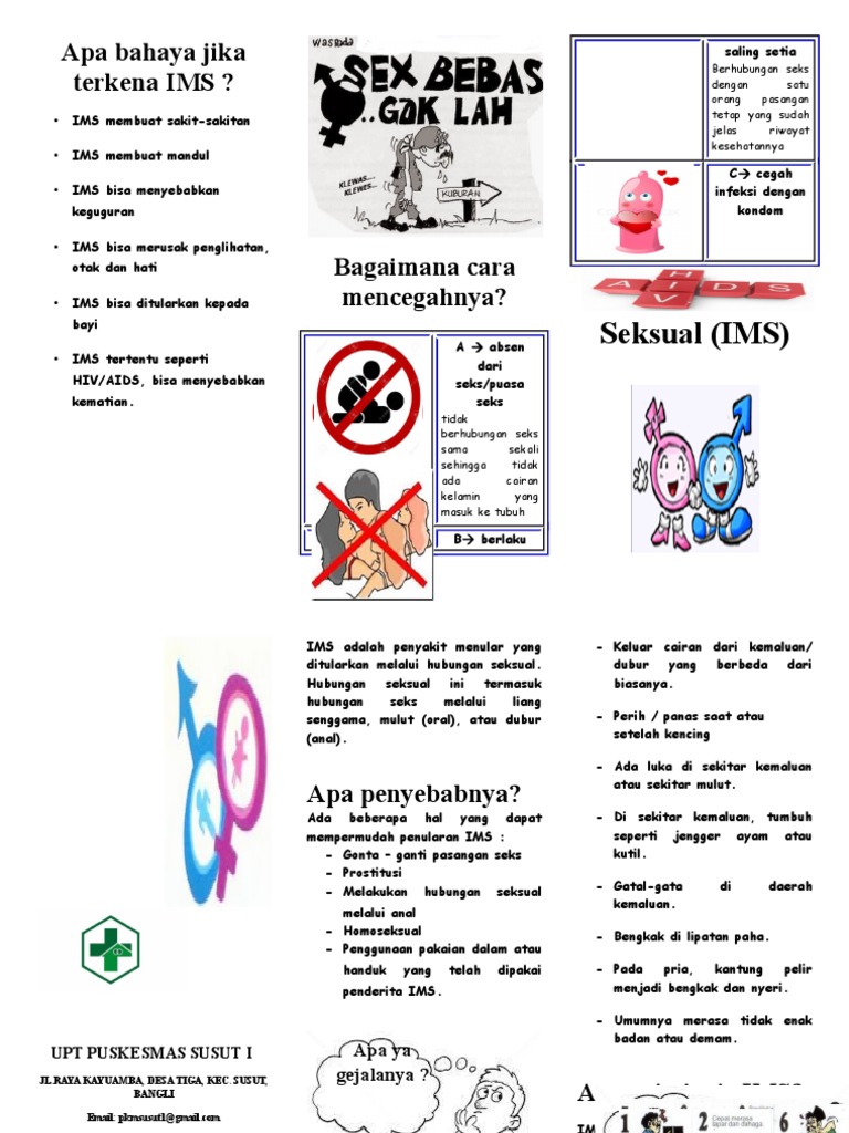 Leaflet IMS Susut I | PDF