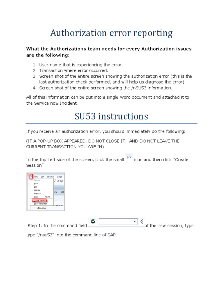 Authorization Issue Reporting - SU53 | PDF