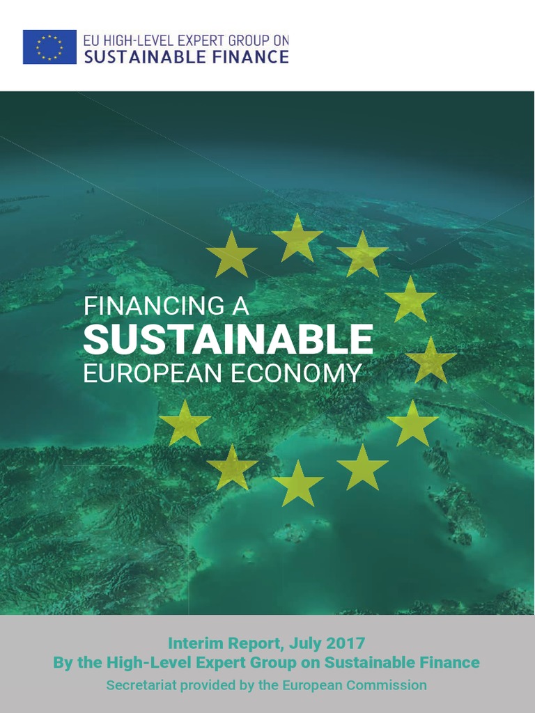 Sustainable Finance Report | PDF | Sustainability | Low Carbon Economy