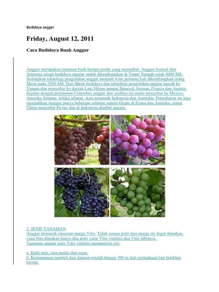 Budidaya Anggur | PDF
